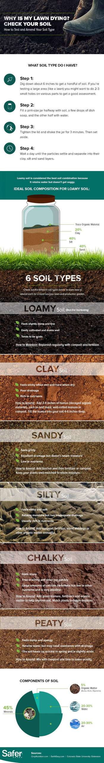 3 Components of a Healthy Lawn and Basic Lawn Care Infographic