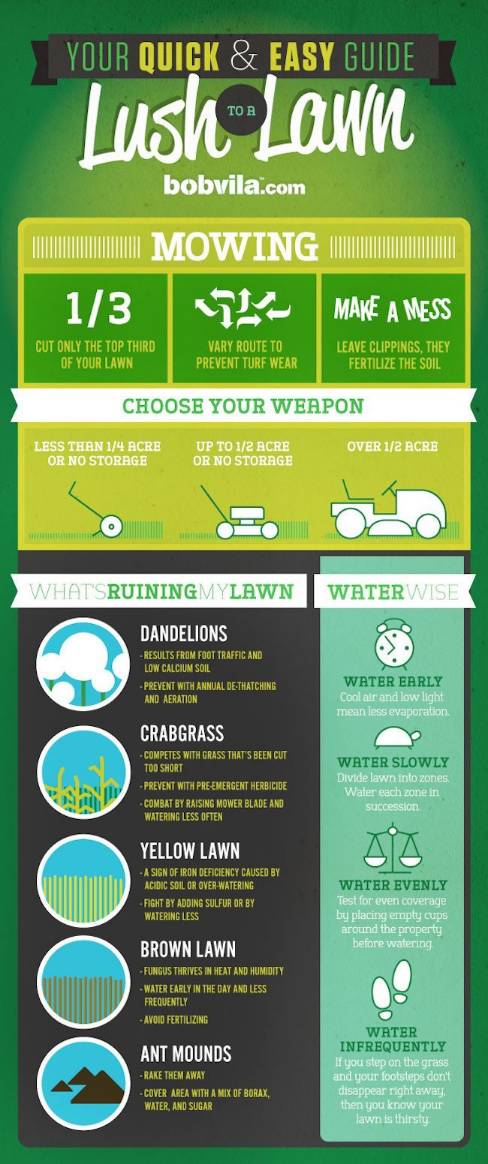 Your Quick and Easy Lawn Mowing Infographic Guide