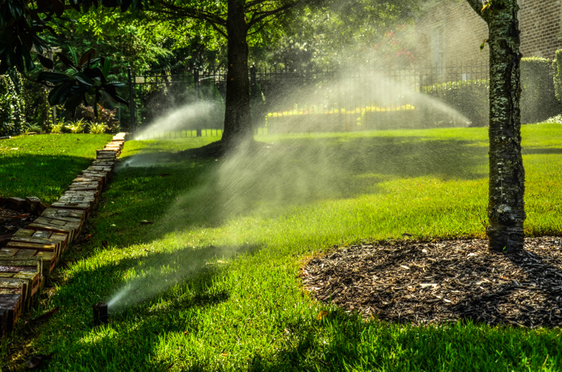 Sustainable Irrigation Practices