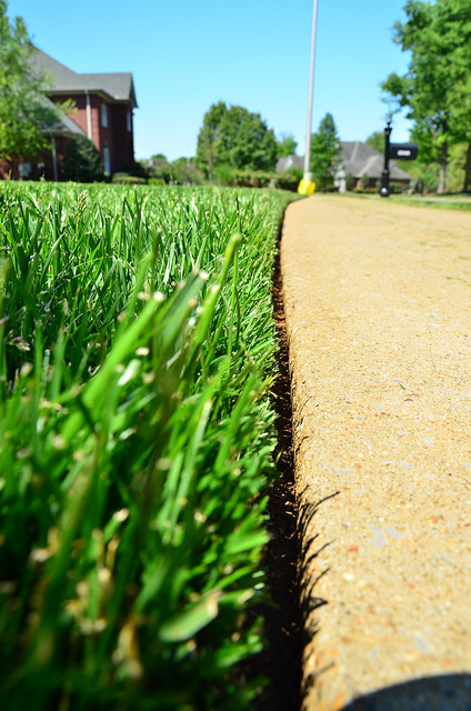 How to edge your lawn like a pro