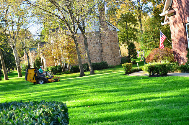 Free Professional Lawn and Landscaping Photography
