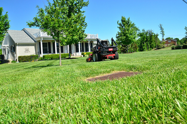 Lawn Care and Landscaping Blog