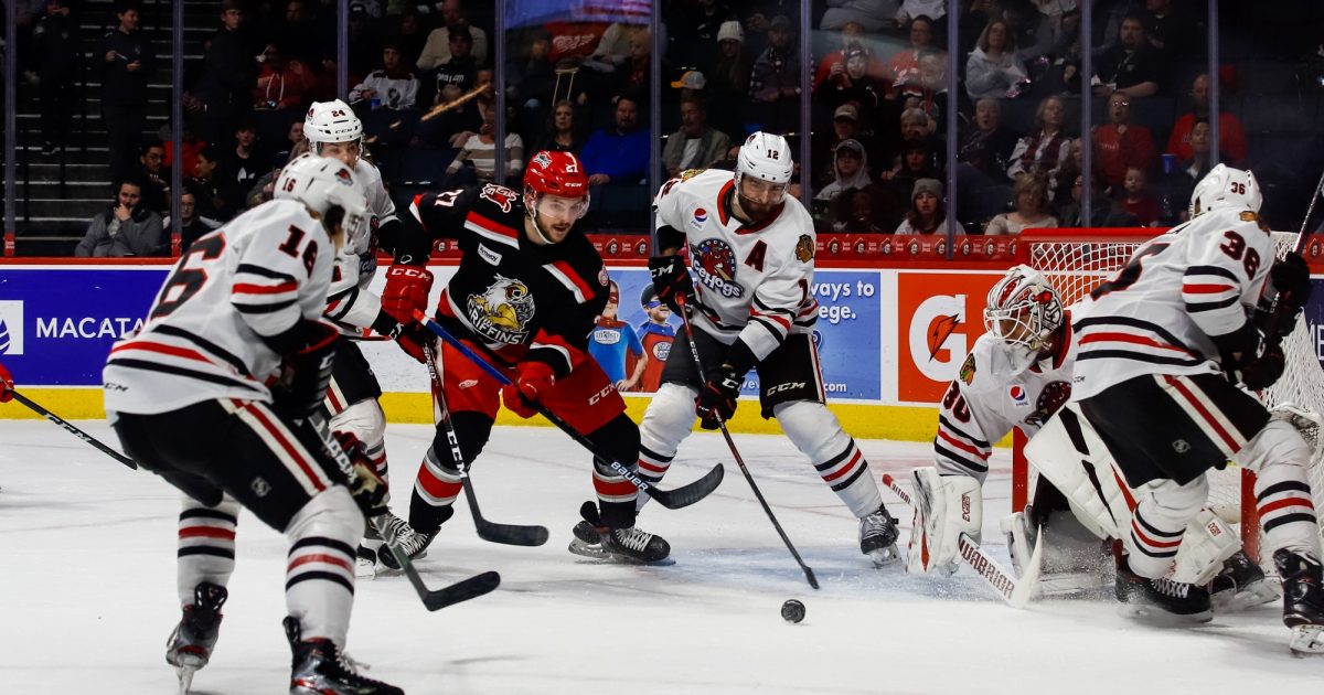 Grand Rapids Griffins | Game Notes: Griffins at IceHogs - Feb. 18, 2020