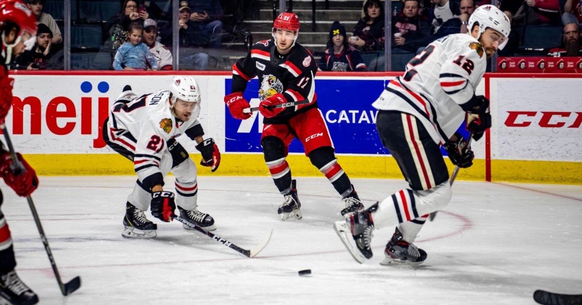 Grand Rapids Griffins | Game Notes: Griffins at IceHogs - Feb. 18, 2021