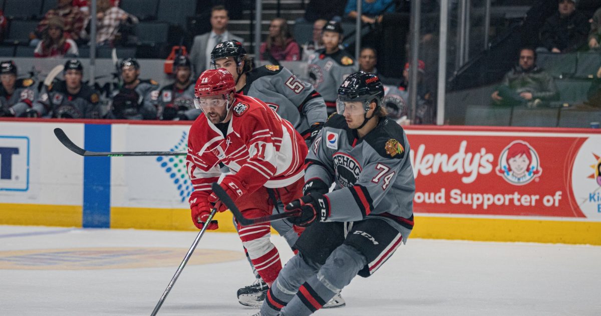 Grand Rapids Griffins | Game Notes: Griffins vs. IceHogs - Dec. 4, 2021