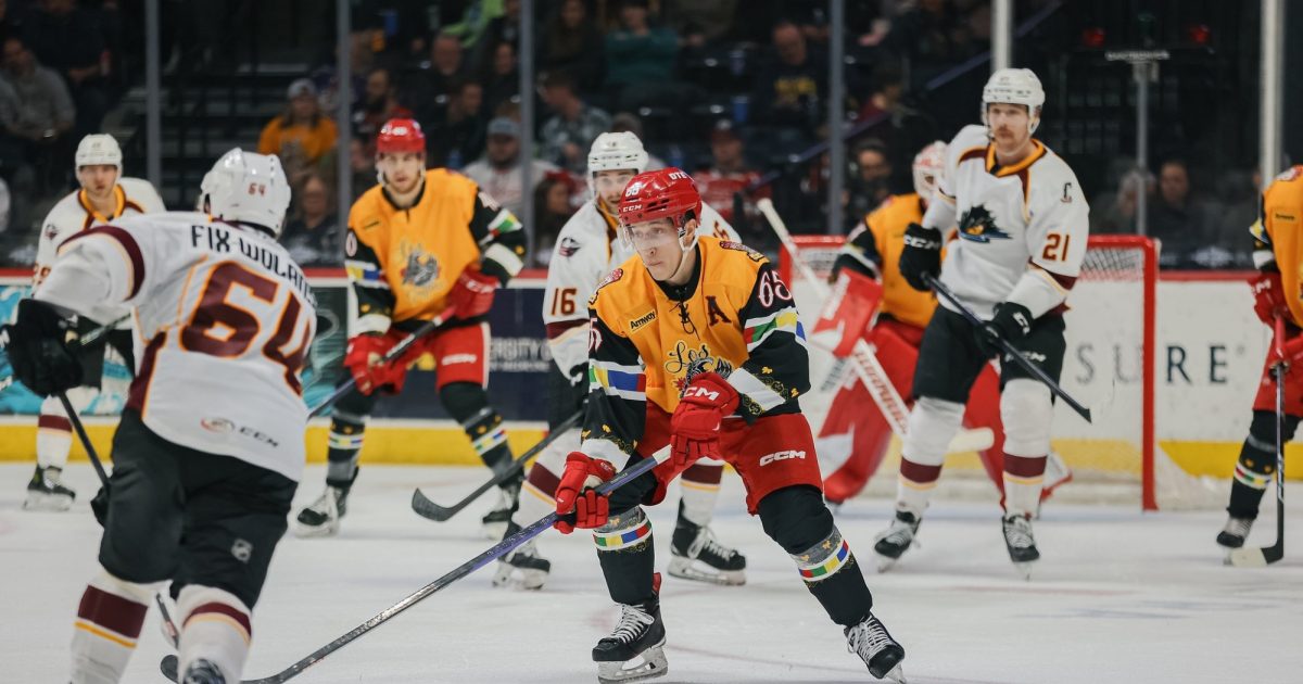 Grand Rapids Griffins | Shine Bright Like a Diamond