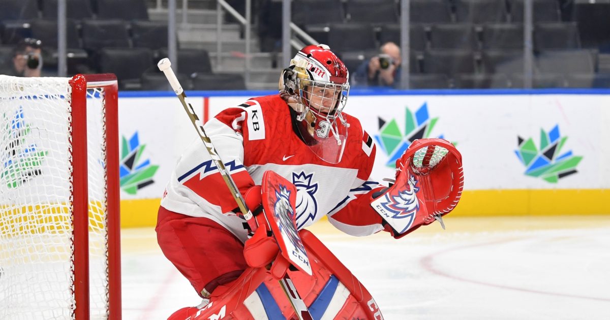 Grand Rapids Griffins | Griffins Sign Jan Bednar to Two-Year Deal