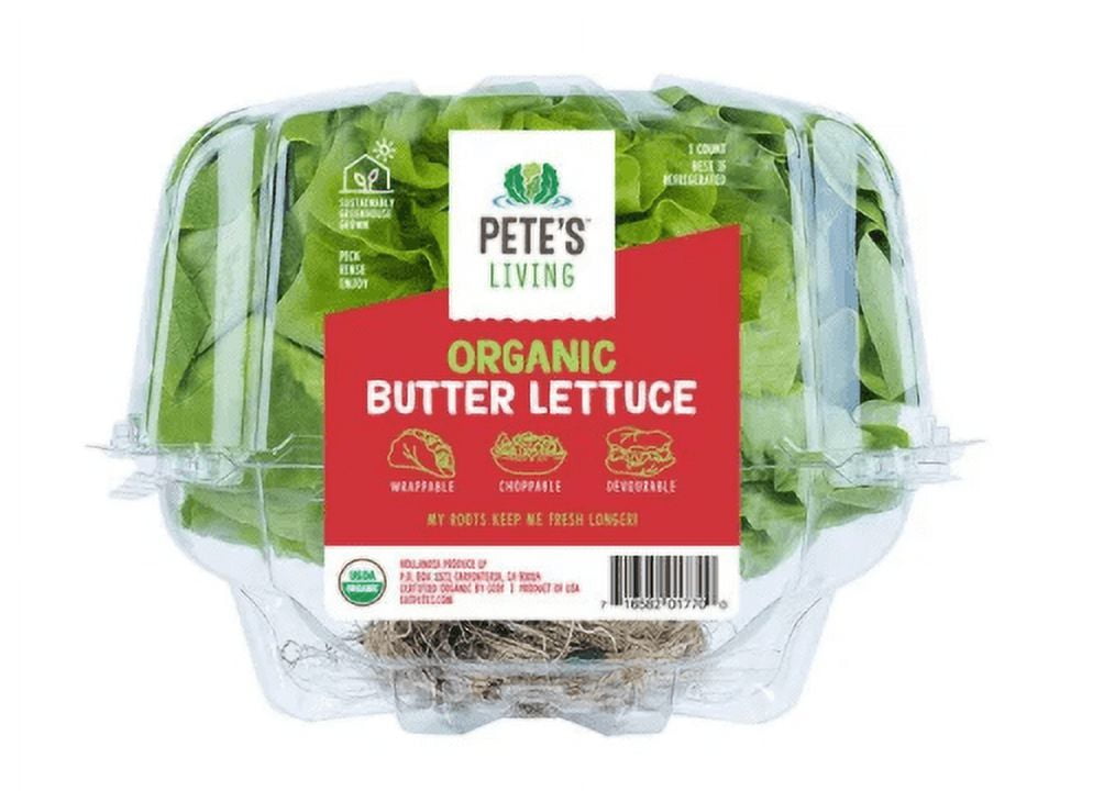 Fieldpack Unbranded Organic Butter Lettuce