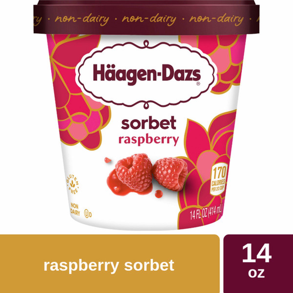 Haagen-dazs Raspberry Sorbet