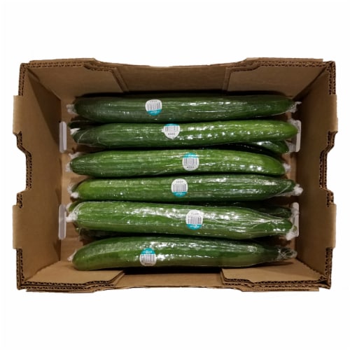 English Seedless Cucumber