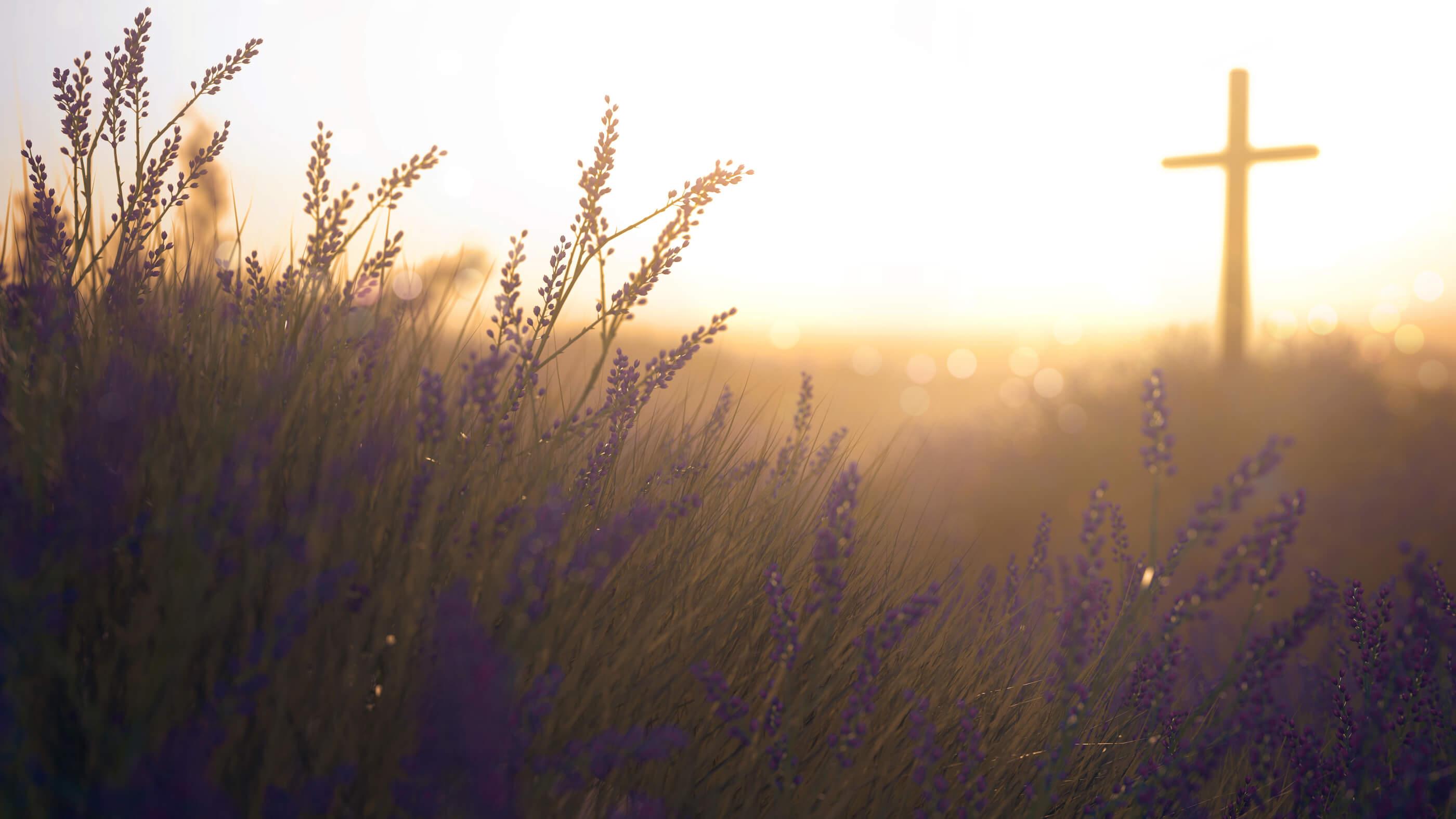 Crucified and Raised to Life with Christ - Groundwork Bible Study