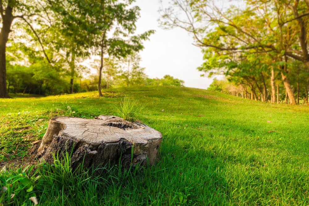 God is Sovereign Over All - Groundwork Bible Study