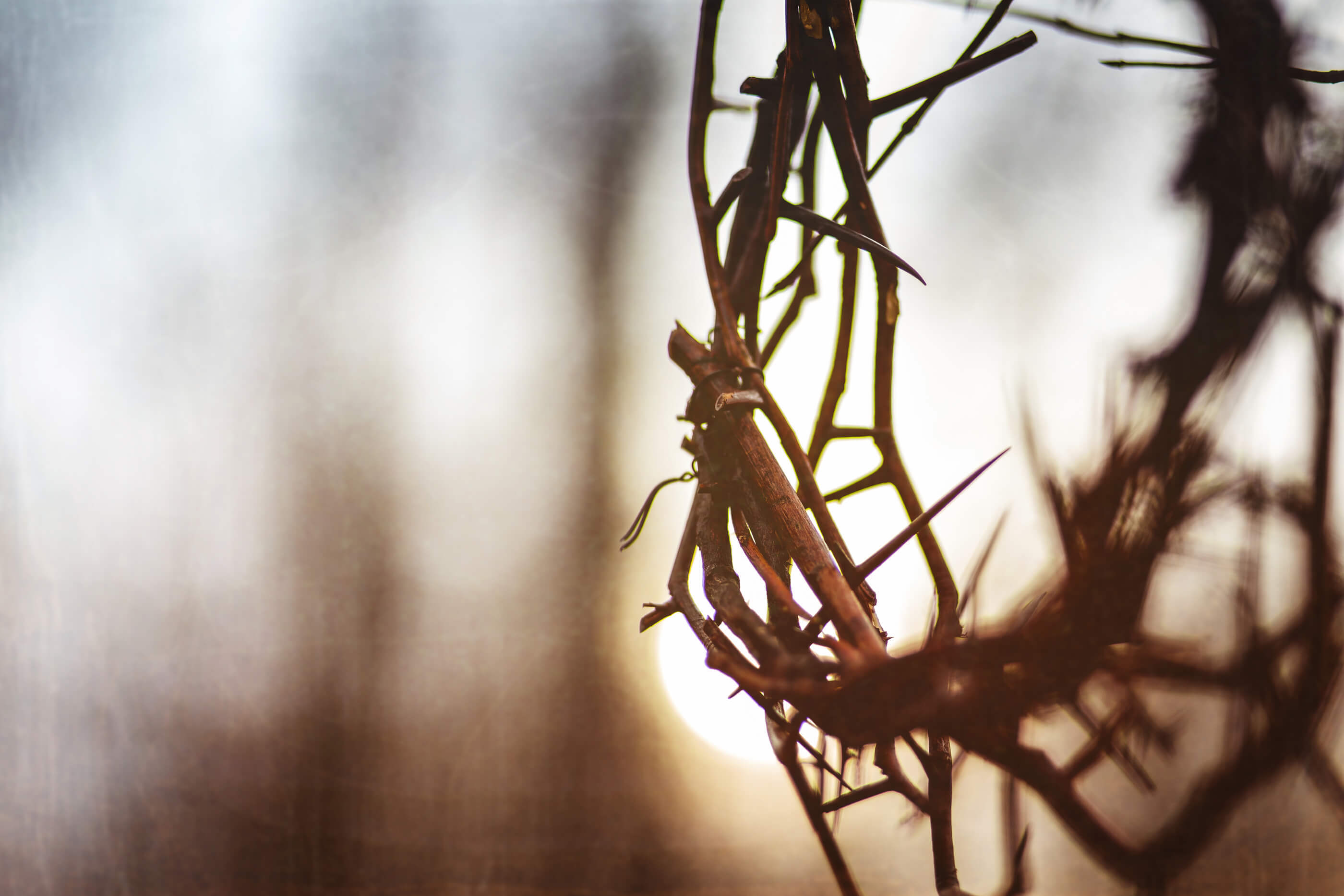 Good Friday: The Crucifixion of Jesus Christ - Groundwork Bible Study