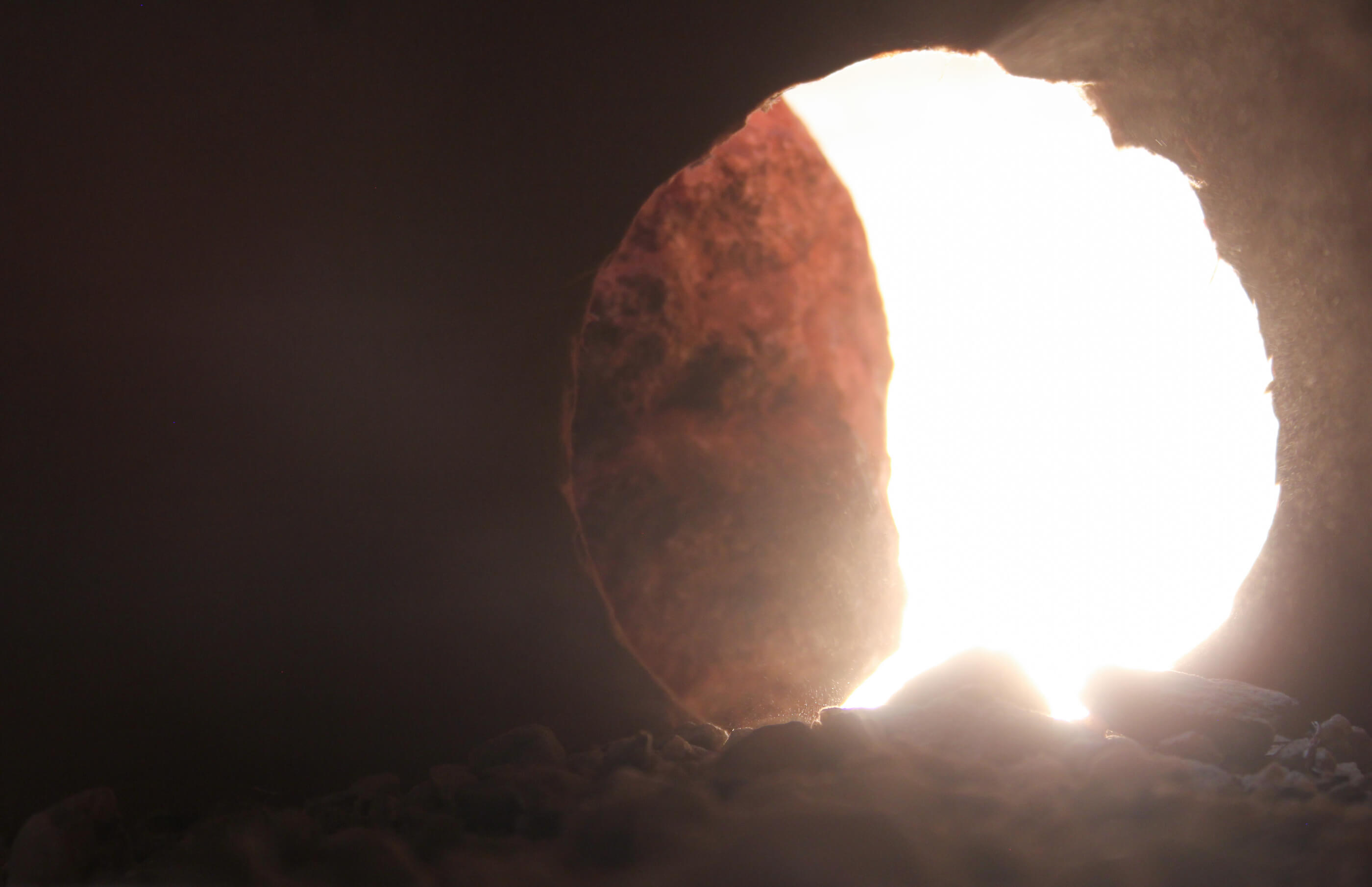 I Believe the Son has Risen - Groundwork Bible Study