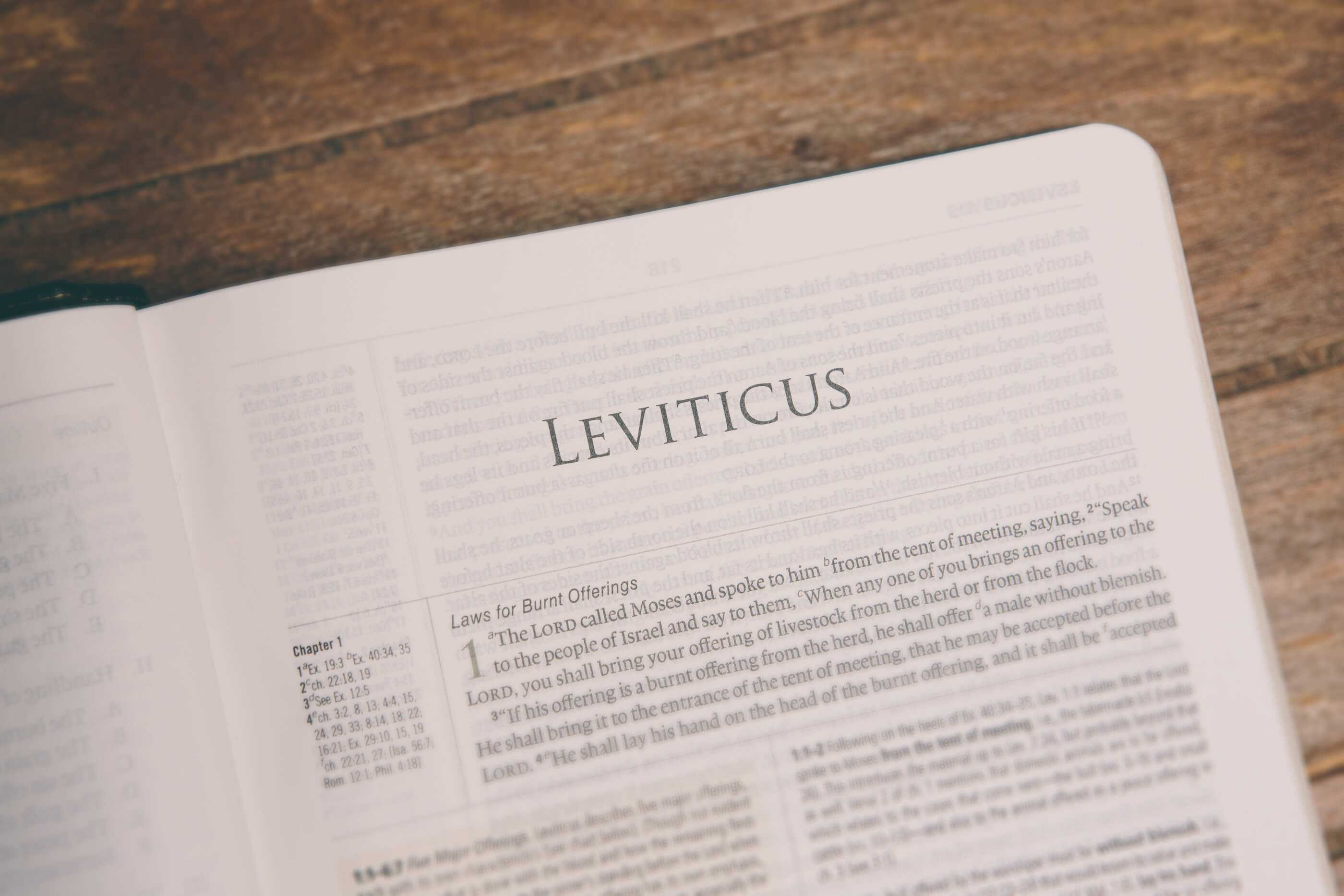 Leviticus: How to Live in God's Presence - Groundwork Bible Study