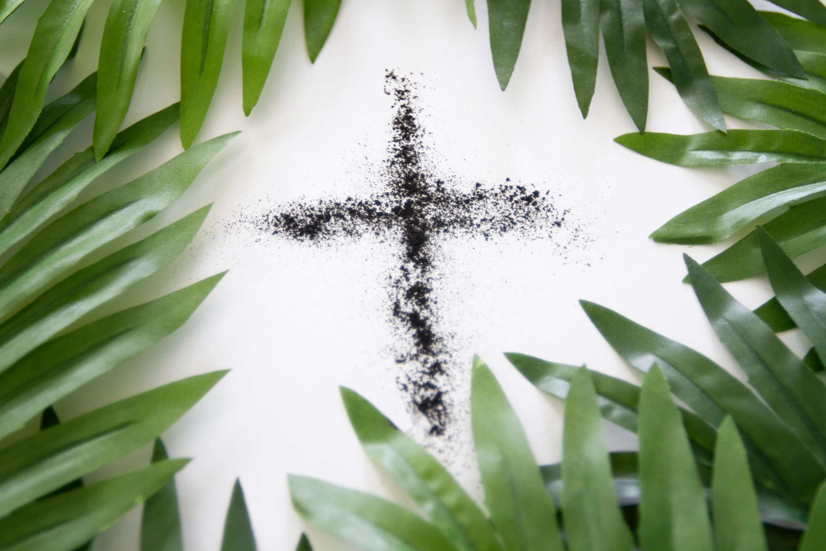Experiencing Palm Sunday with Jesus - Groundwork Bible Study
