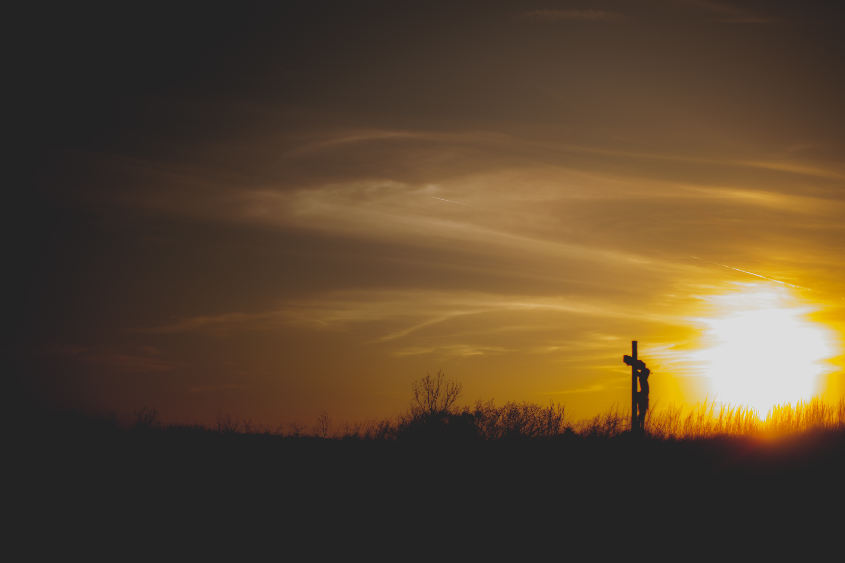 With Me in Paradise - Groundwork Bible Study