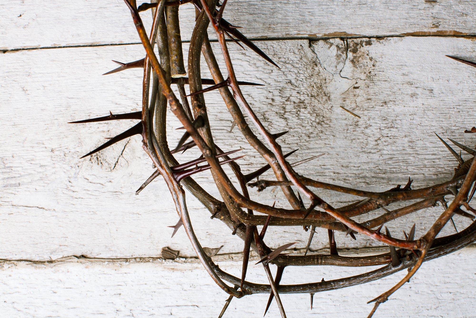 Job and the Problem of Suffering - Groundwork Bible Study