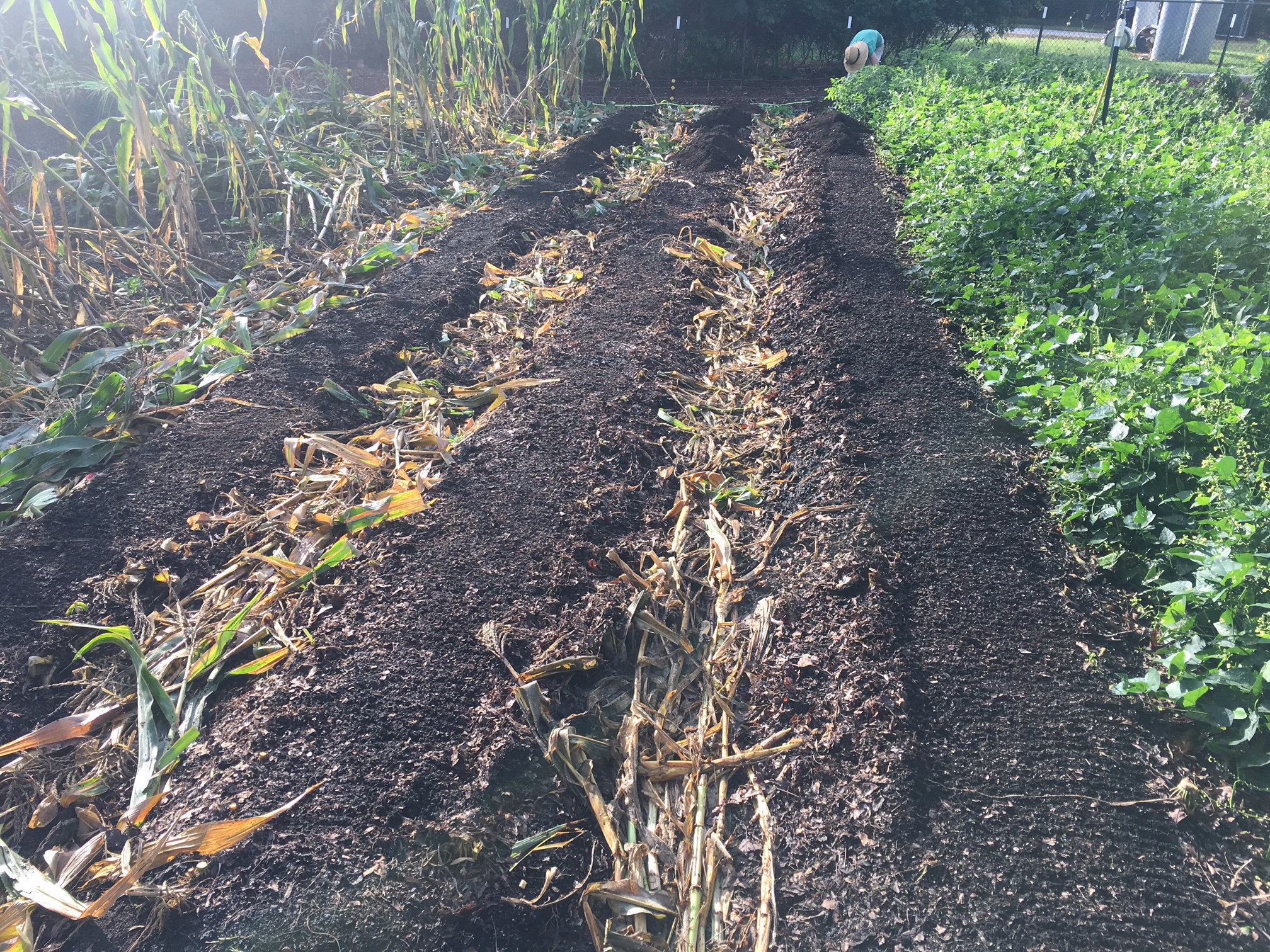 Transitioning between growing seasons using no-till organic gardening ...