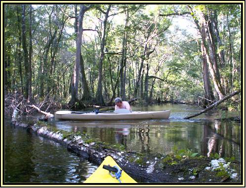 GC7B6PZ Main Spring - Gum Slough (Virtual Cache) in Florida, United ...