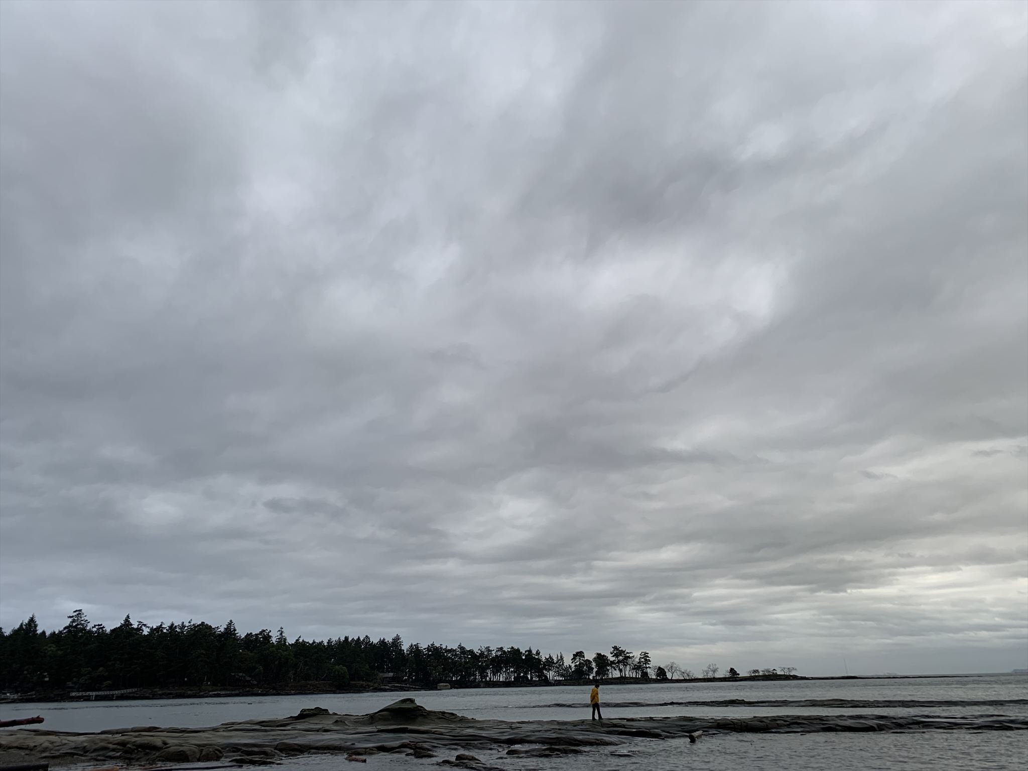 GC81E86 Fly like a butterfly beach 2 HAG XV (Traditional Cache) in ...