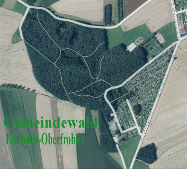 GC7ENAP Gemeindewald Limbach-Oberfrohna (Multi-cache) in Sachsen, Germany created by Stereofoto