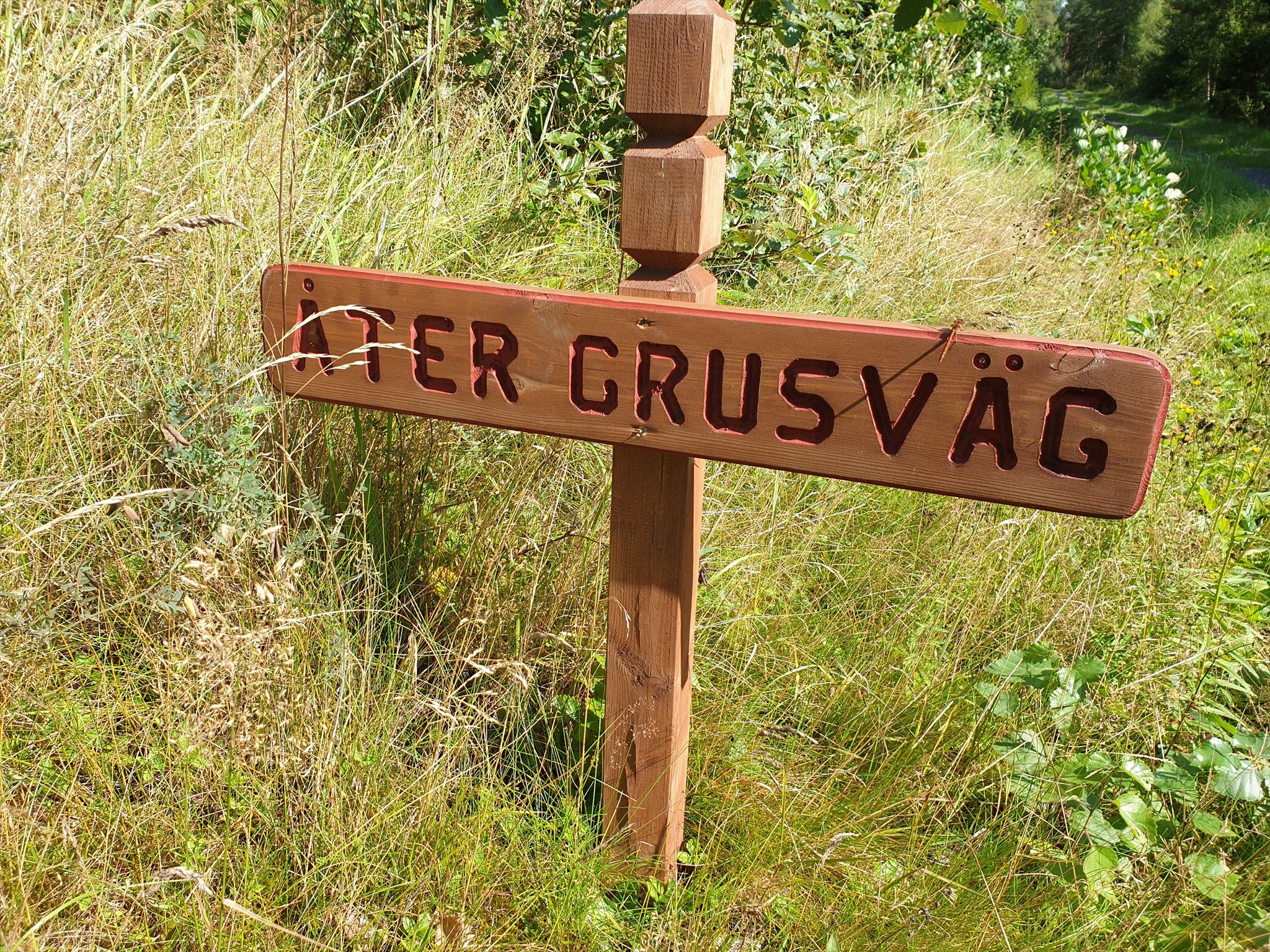 GC8ZGFX Vandringsled Traneberg #Åter grusväg (Traditional Cache) in ...