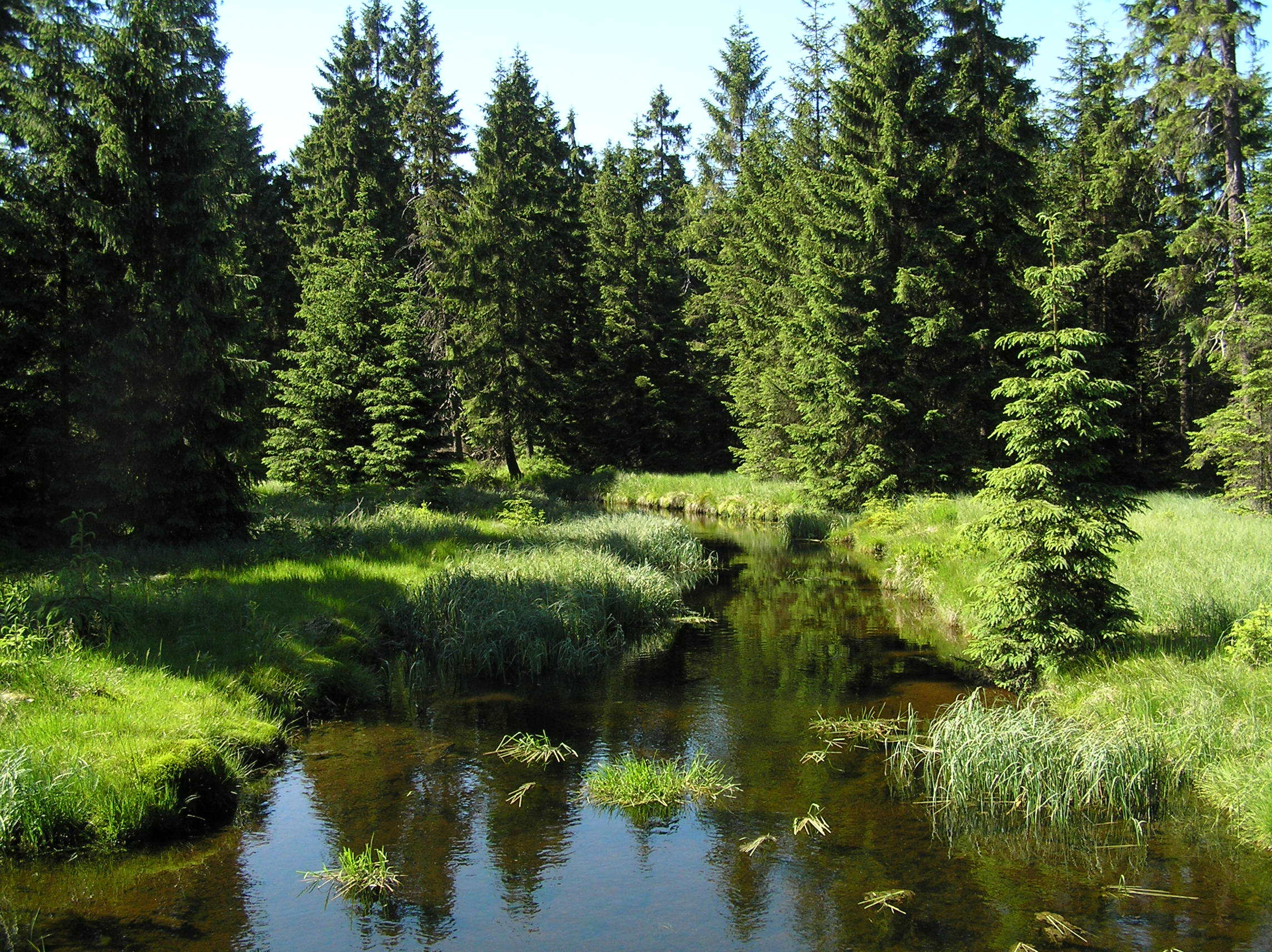 GC9DMMW Tradička u potoka (Traditional Cache) in Kraj Vysočina, Czechia ...