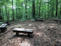 GC8GPW6 CAM 2020: Bee Tree Preserve (Unknown Cache) in Maryland, United ...