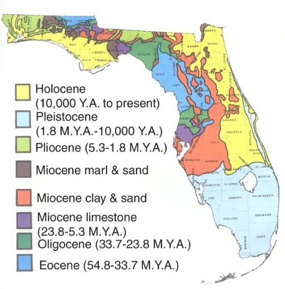 GC5EA87 What Lies Beneath, Revealed (Earthcache) in Florida, United ...