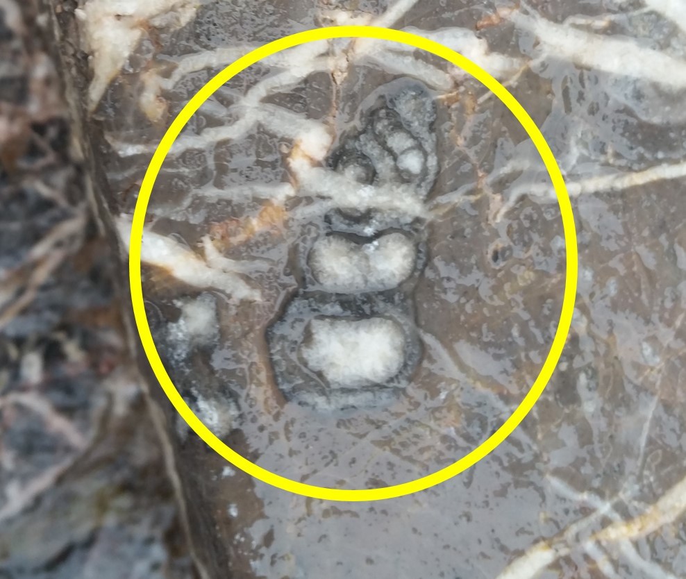 GC7A0VP Tick Tock – Weather that Rock! (Earthcache) in South West ...