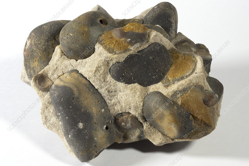 GC83ZVM Rocky Point Puddingstone - Earthcache (Earthcache) in Rhode ...