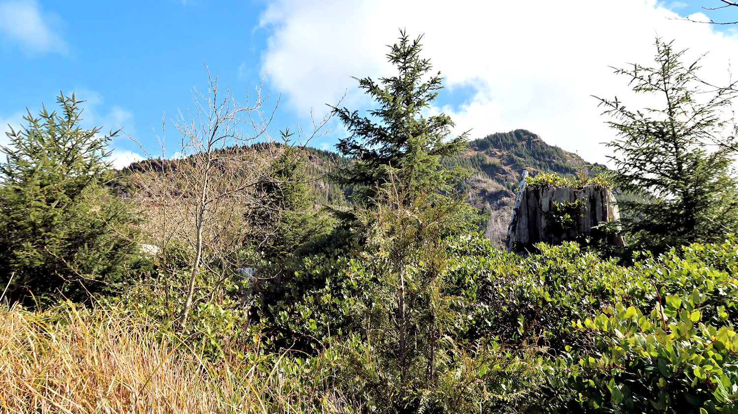 GC8NRNM Angora Turn (Traditional Cache) in Oregon, United States ...