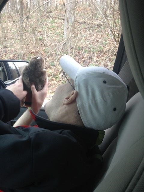 GC8VCG7 The Nathaniel Trail: Remembrances--12 (Unknown Cache) in ...