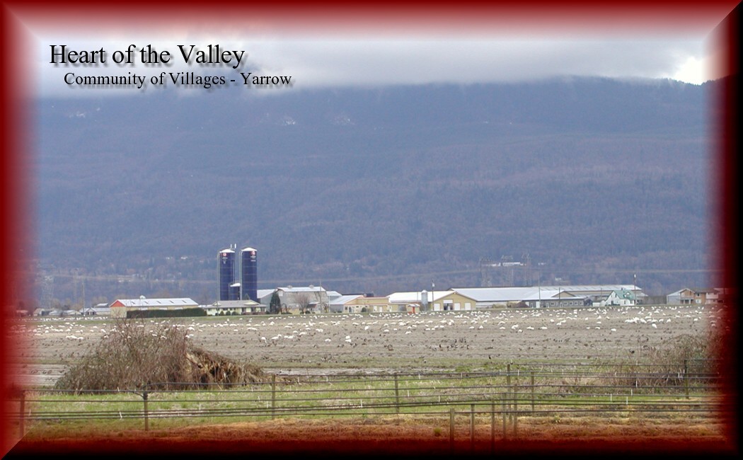GC2WBM4 Heart of the Valley - Yarrow (Unknown Cache) in British ...