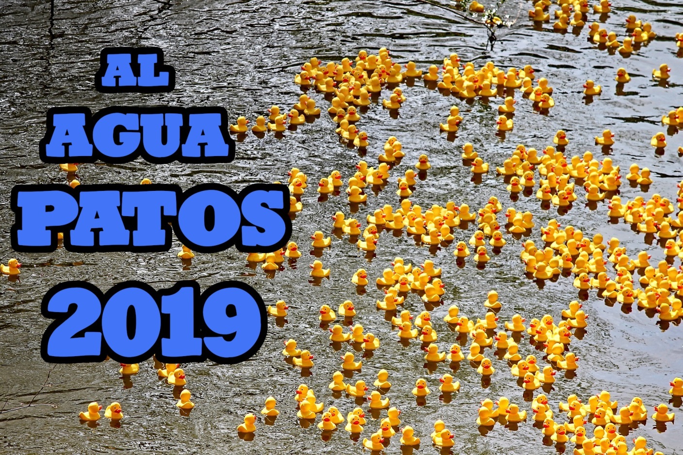 GC86C6K AL AGUA PATOS 2019 -B- (Traditional Cache) in Comunidad ...