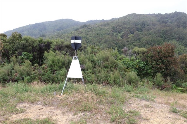 GC4X9DE Trig-a-gnome-a-tree (Wellington) (Multi-cache) in North Island ...