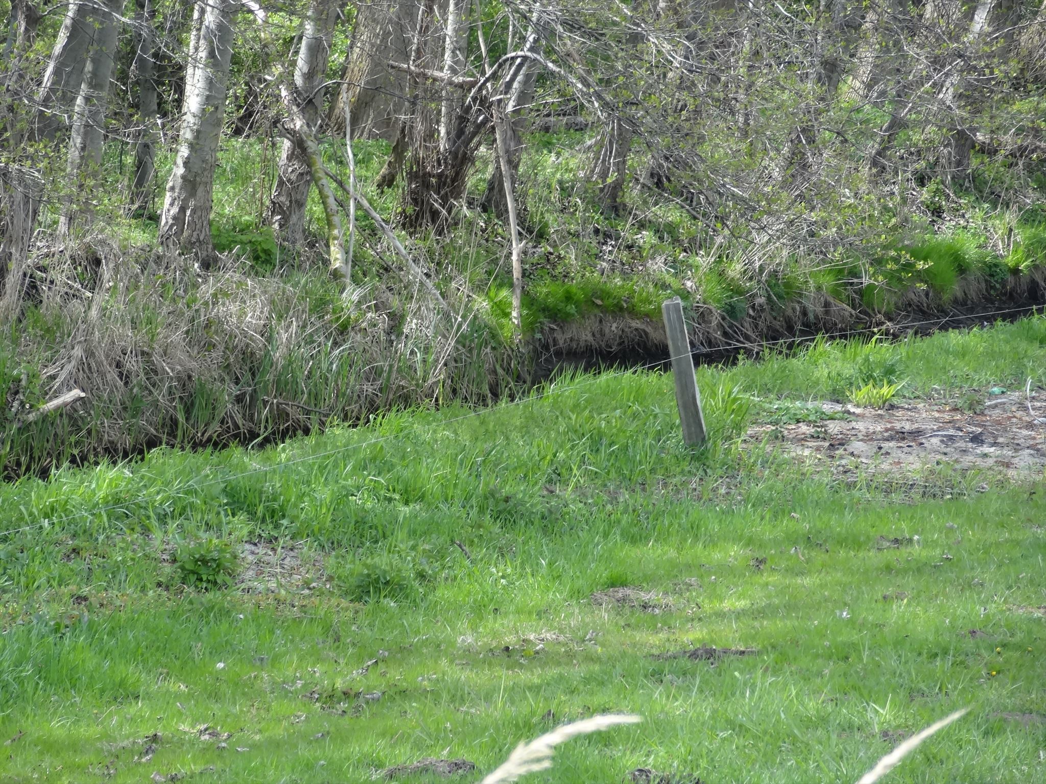 GC6GN1C An der Datze 2 (Traditional Cache) in Mecklenburg-Vorpommern ...