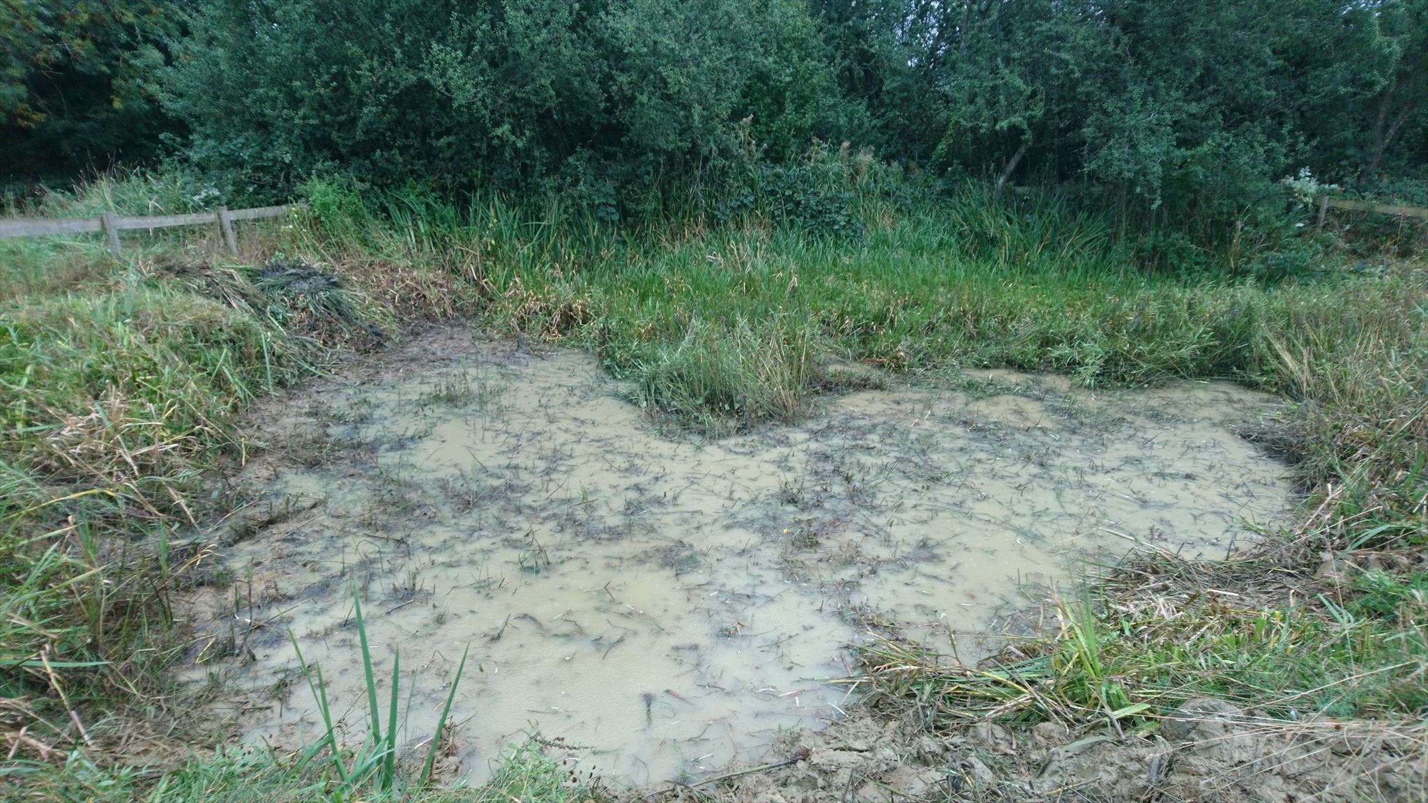 GC9GXMN Pond Restoration part two at Hucclecote (Cache In Trash Out ...