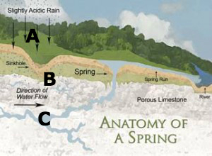 GC6BA7J Ferguson Spring (Earthcache) in Kentucky, United States created ...