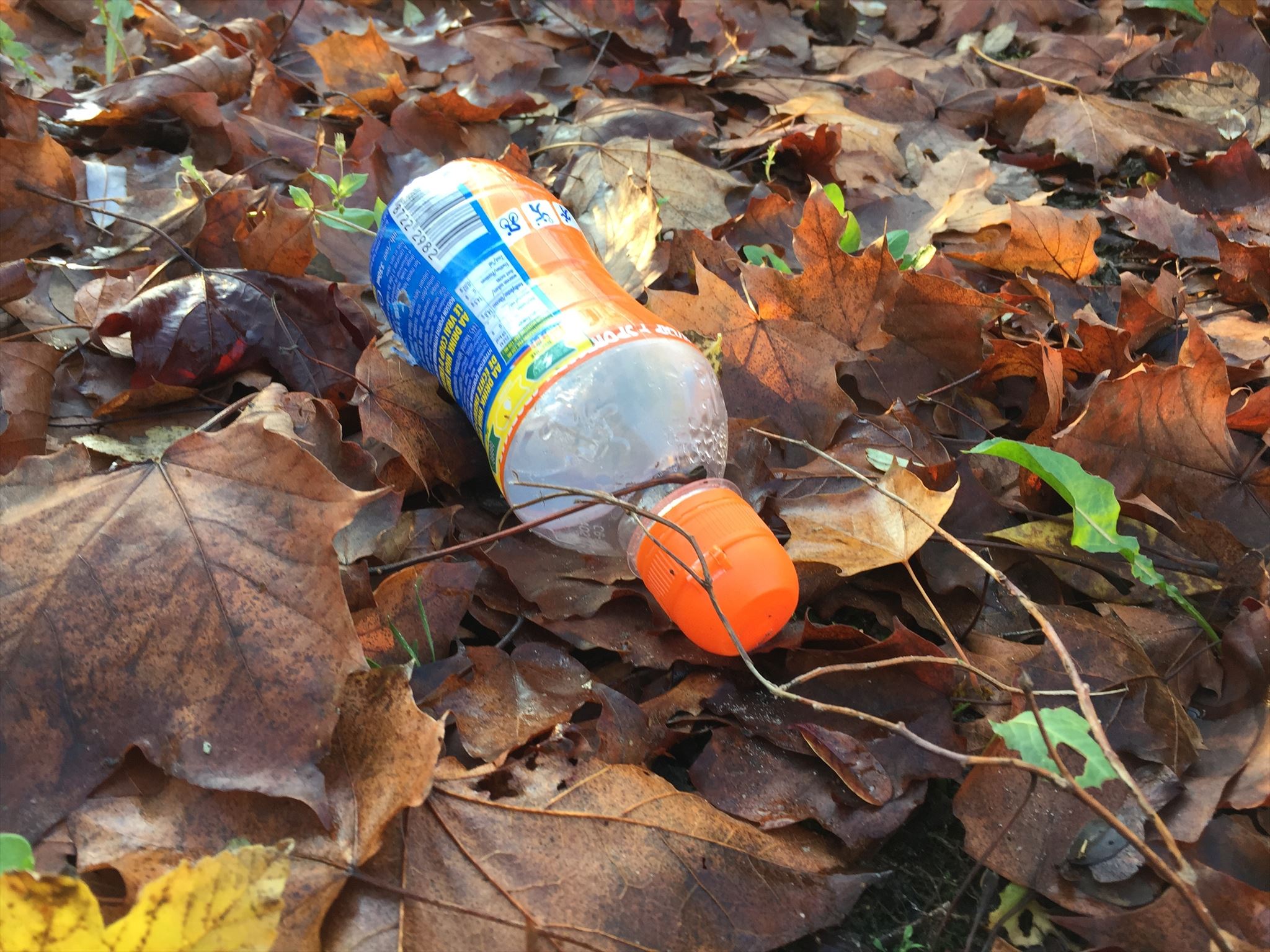 GC8FNCE Trash Cache (Traditional Cache) in Utrecht, Netherlands created ...