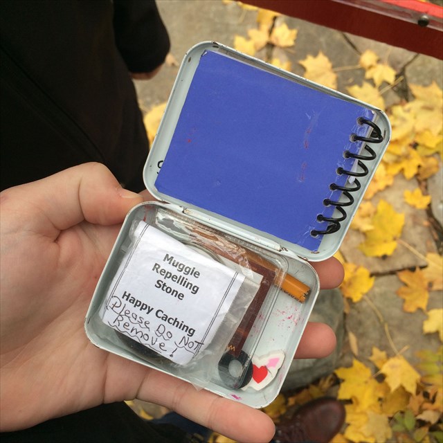 Geocache in book (free little library) - General geocaching topics ...