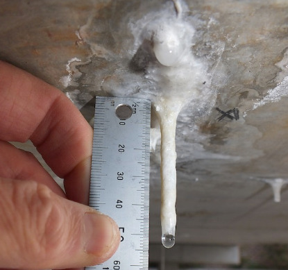 GC86GW9 Calthemite “Stonicles” (Earthcache) in South Wales, United ...