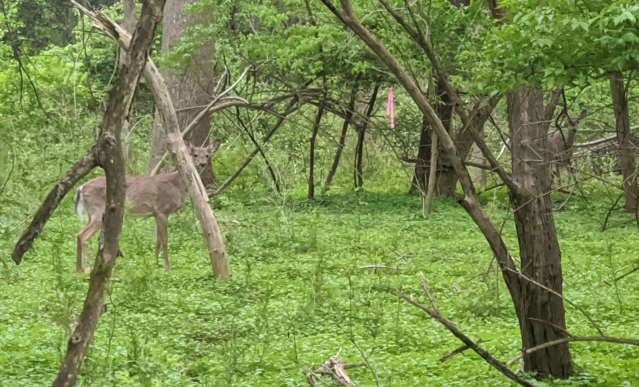 GC8PREQ CV 6 - Along the Trail, Past and Future (Traditional Cache) in ...