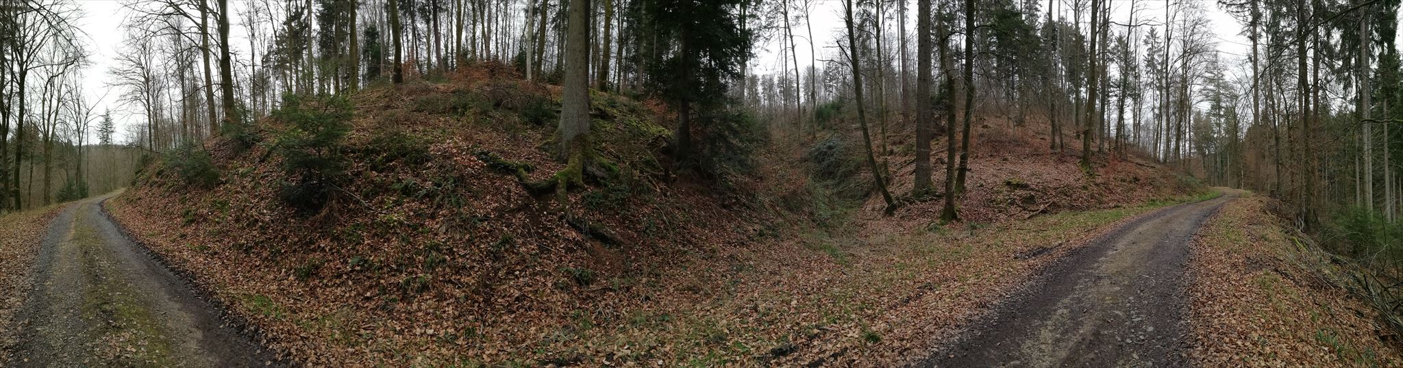 GC8HYGQ #7 - Stadtwaldrunde - Bruderhäusledobelweg (Traditional Cache ...