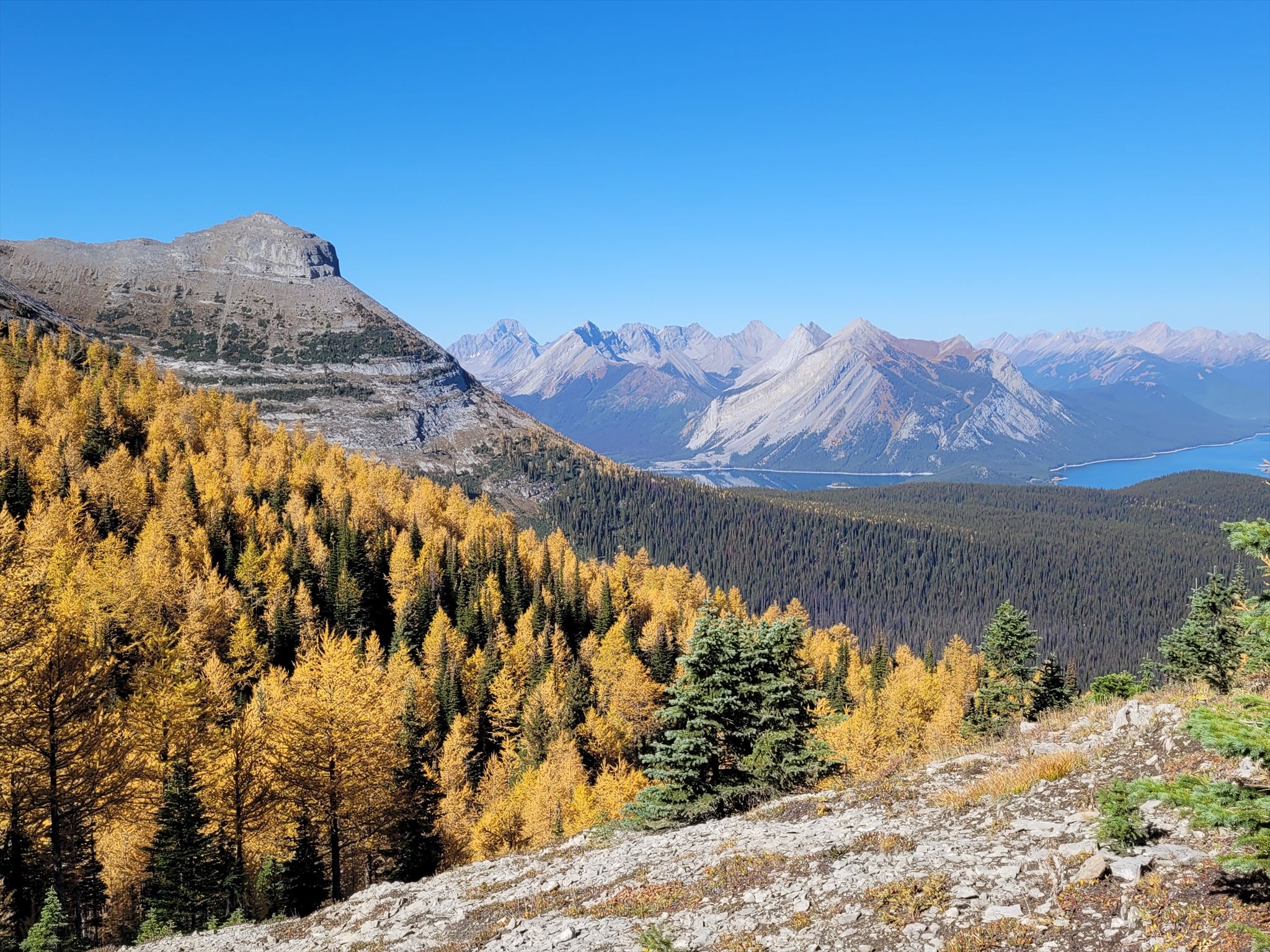 GCA0GAT Mount Fox Summit (Traditional Cache) in British Columbia ...