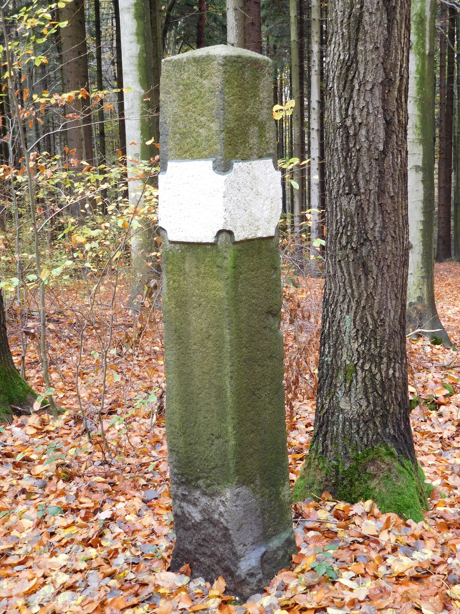 GC7DXZR Historische Wegsäule Weifa 4 (Multi-cache) in Sachsen, Germany ...