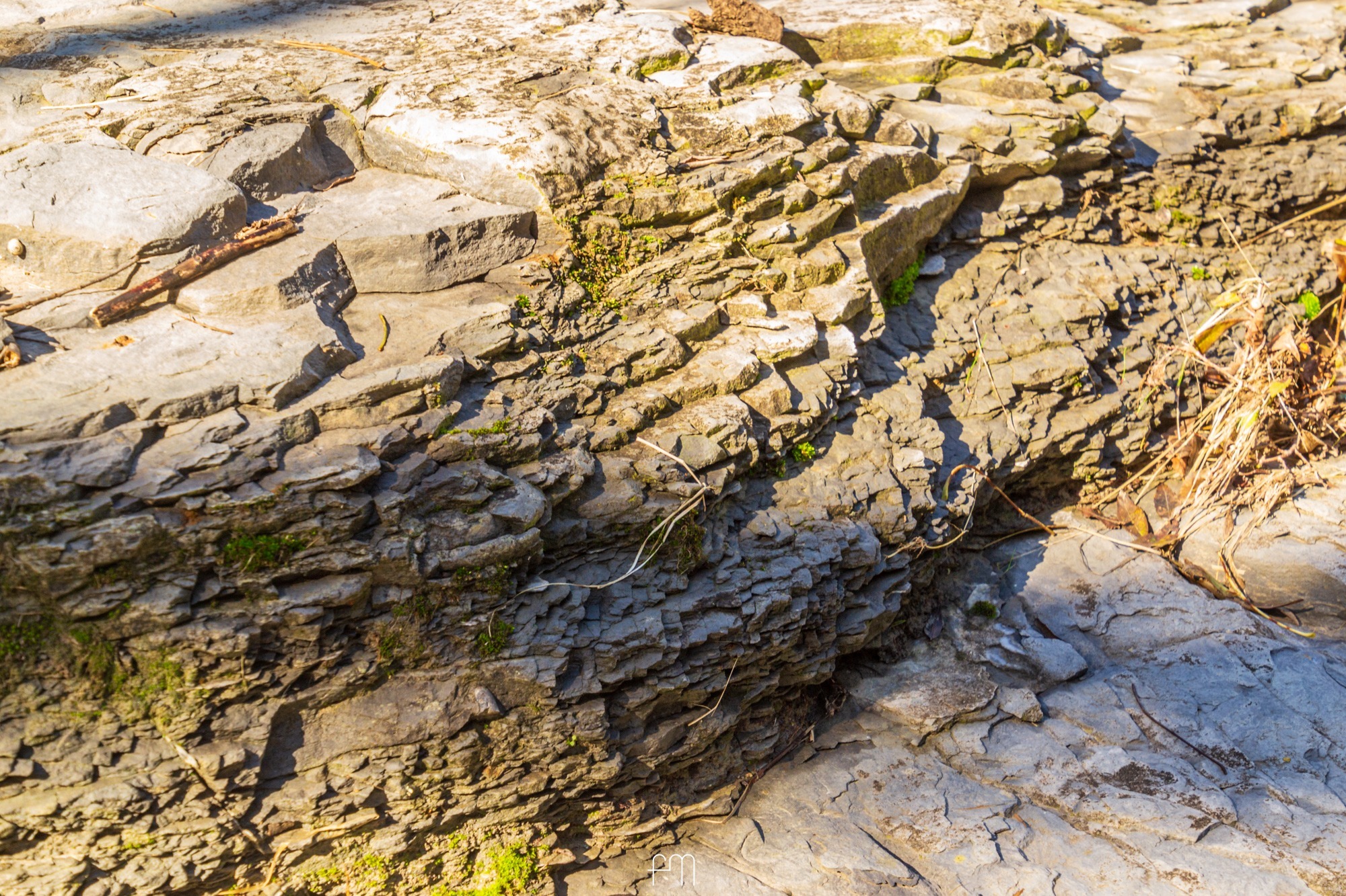 GCA9EHA Les strates de la dalle aux fossiles de Fressac (Earthcache) in ...