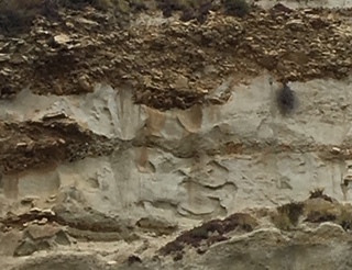 GC87P6E Christianitos South Trail - Capistrano Formation (Earthcache ...