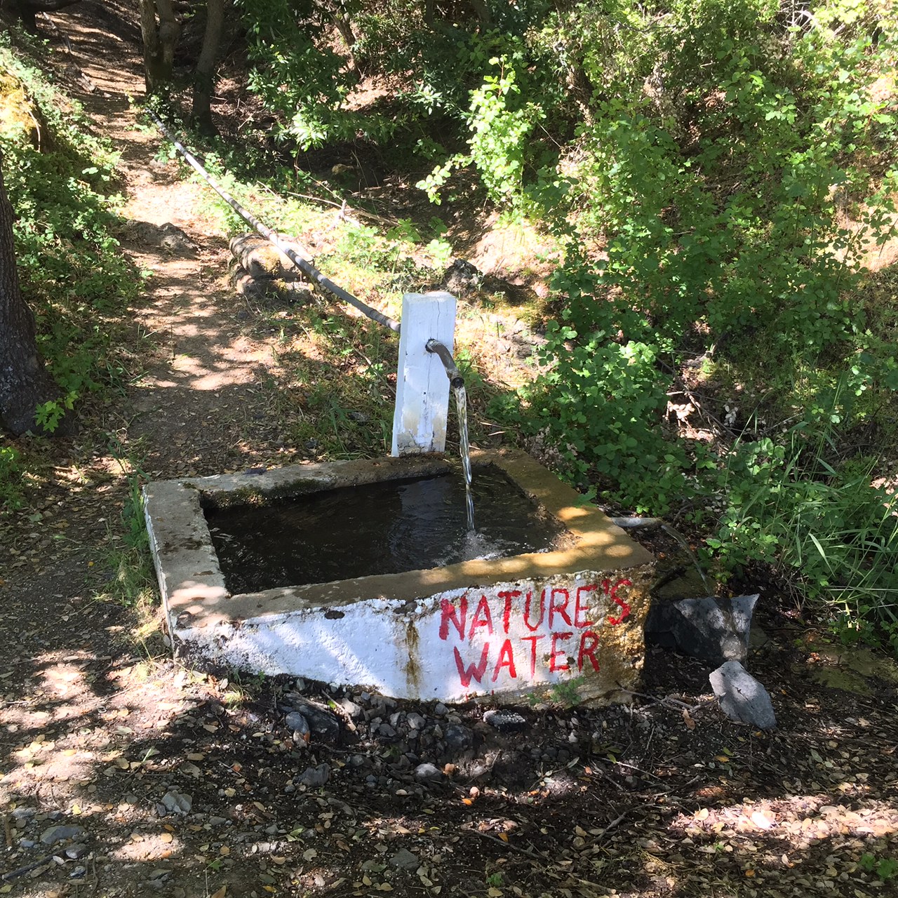 GC6JXDV Nature's Water (Traditional Cache) in California, United States ...